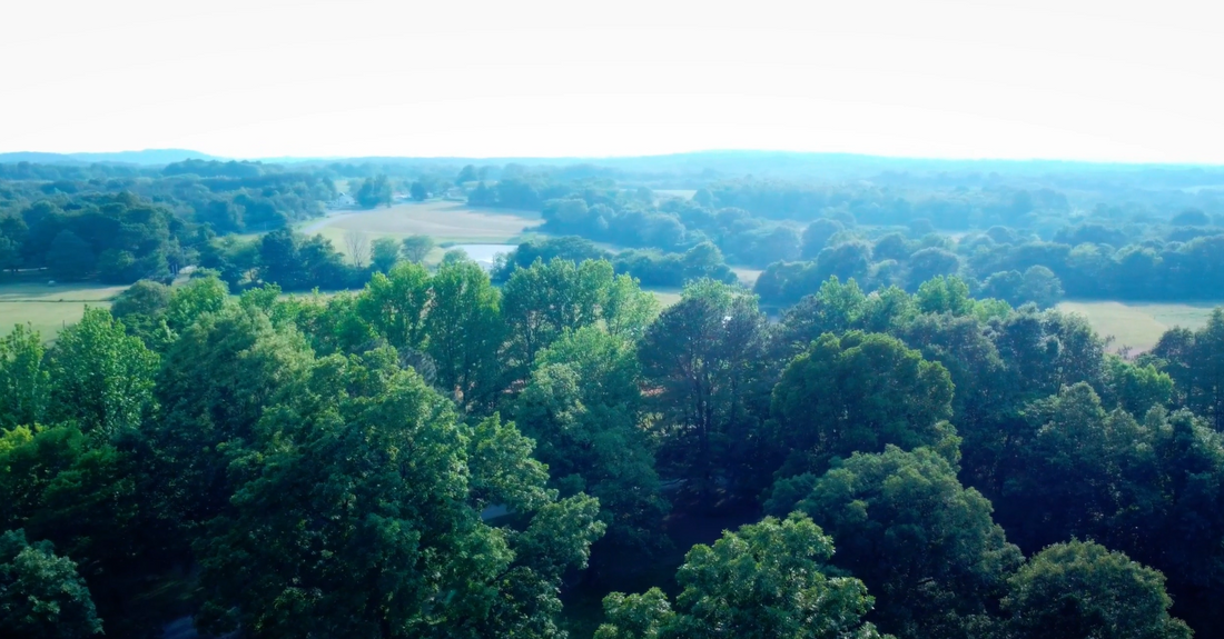 Bunkie Life Heartland Free Shipping | Small Cabin Kits